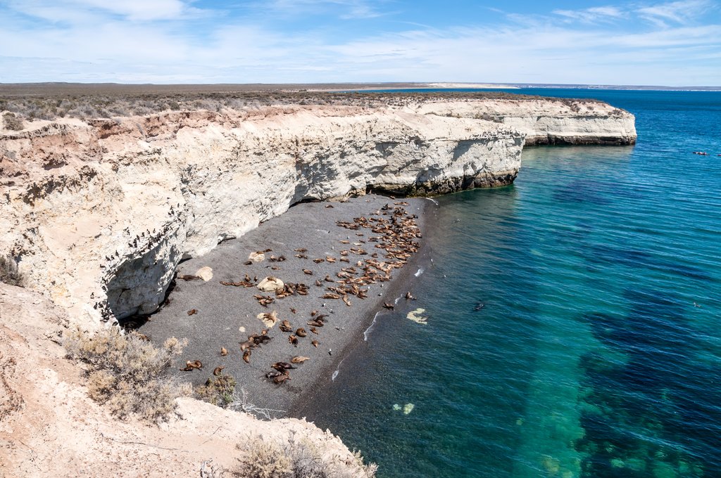 PUERTO MADRYN Destino De F rias Voos Hoteis Informa o Geral PUERTO MADRYN Destino De F rias Voos Hoteis Informa o Geral